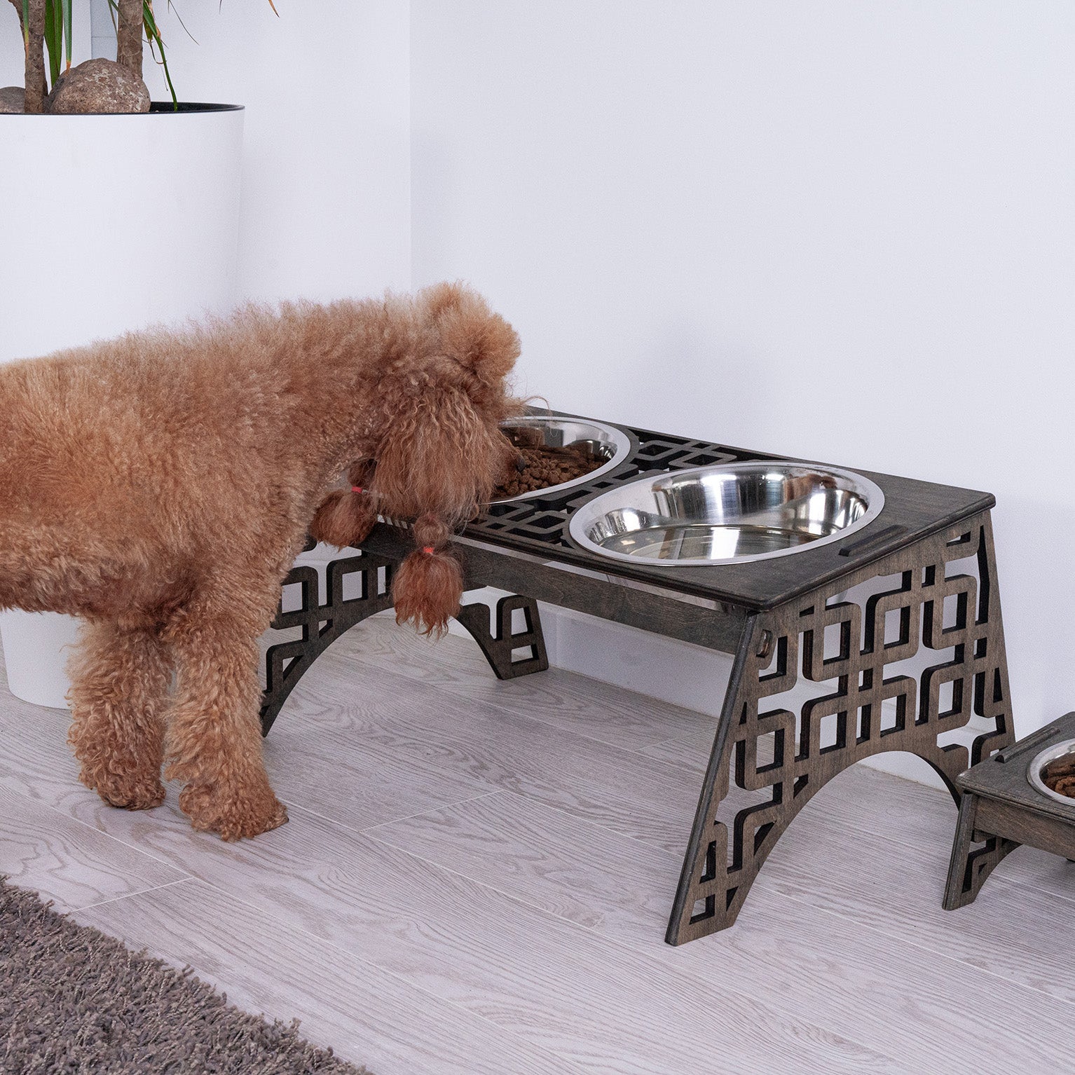 Elevated Dog Bowls: Pros and Cons – Windrunner Leather